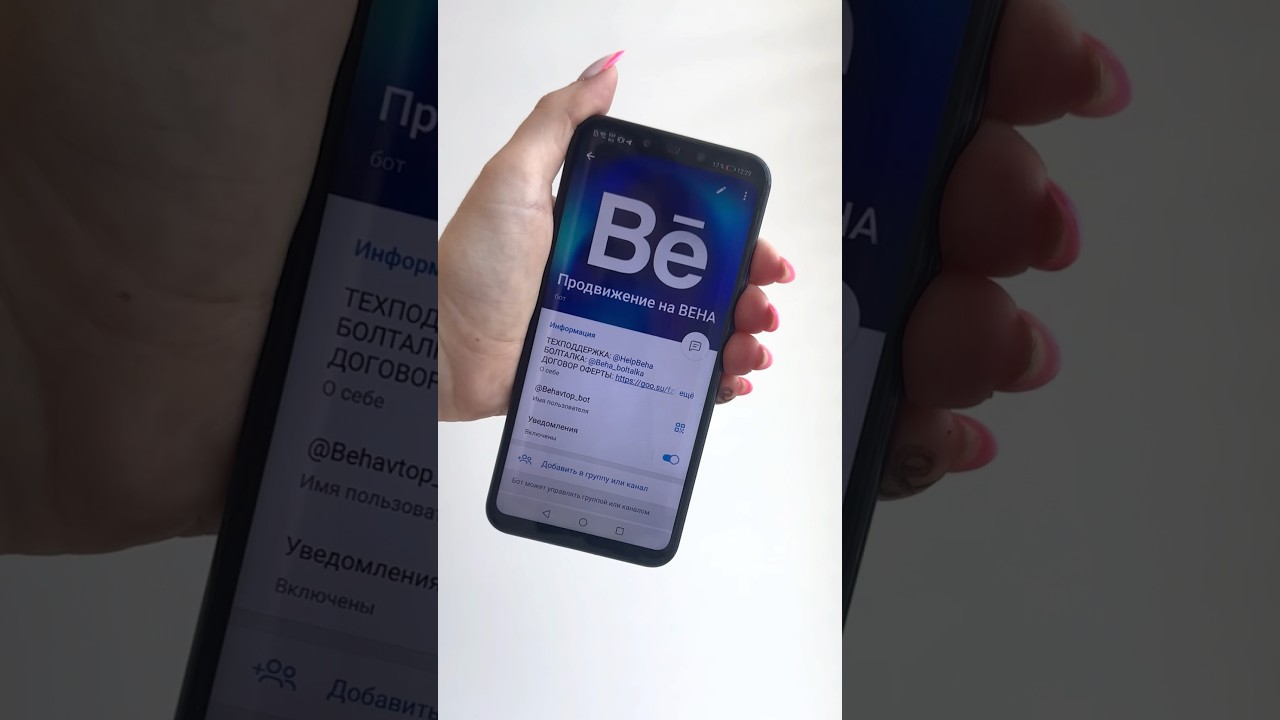 #behance #графическийдизайн #вебдизайн #инфографика #дизайнер #логотип #иллюстратор #фирменныйстиль