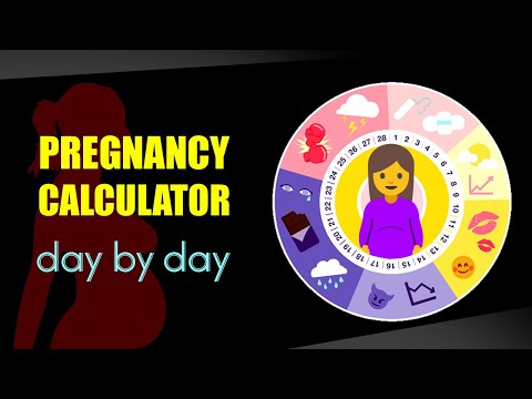 Pregnancy Calculator – Pregnancy Calendar Week By Week | How to Calculate Pregnancy Week