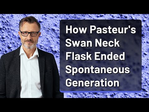 How Pasteur's Swan Neck Flask Ended Spontaneous Generation