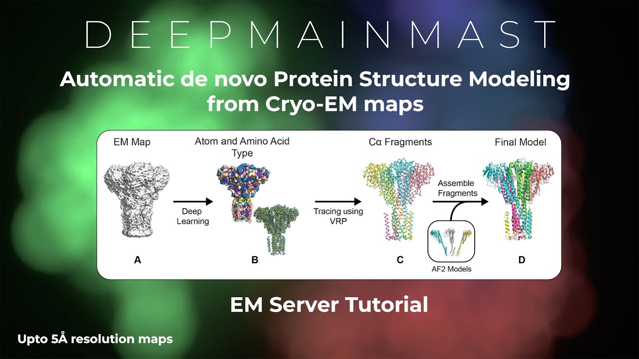 DeepMainmast: Automatic Protein Structure Modeling from Cryo-EM (EM Server Tutorial)