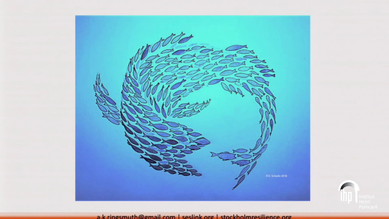 Making sense of cross-scale dynamics... - Ringsmuth - Workshop 3 - CEB T3 2019