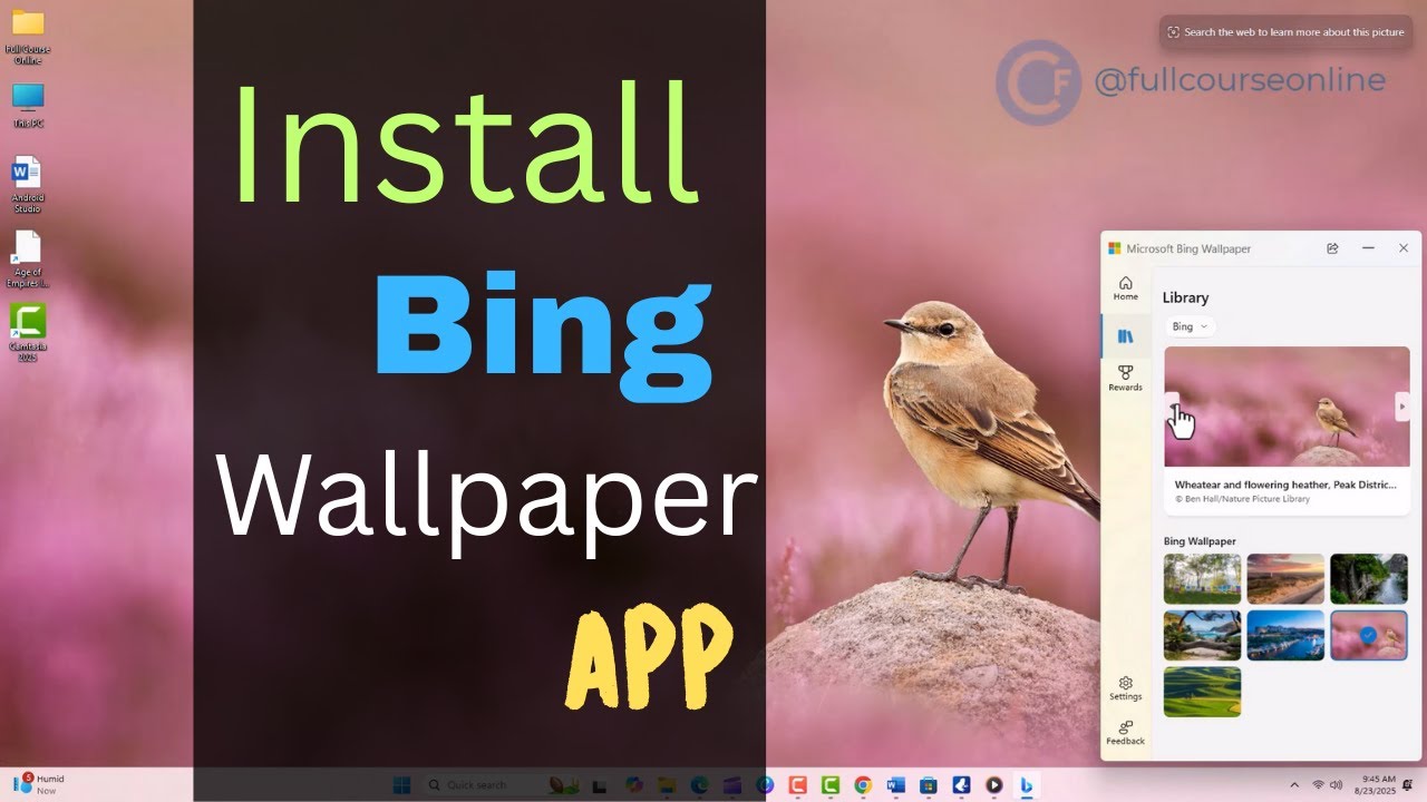 How to Install Bing Wallpaper app on Windows 11