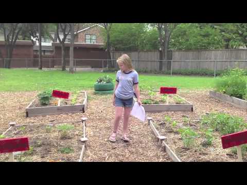 VideoTour of the Moss Haven Elementary Farm