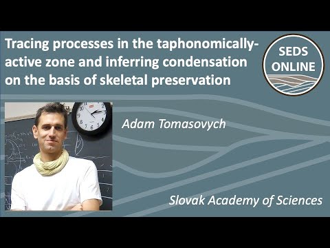 Tracing processes in the taphonomically-active zone on the basis of skeletal preservation
