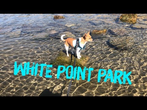 White Point Park