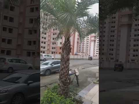 #cidco property In Navi Mumbai