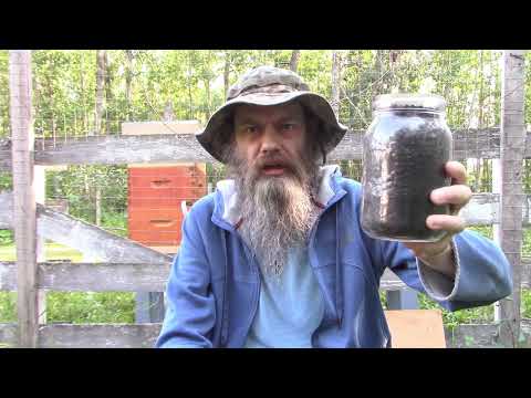 Biochar soil mix ratio. How much biochar to add to how much soil?