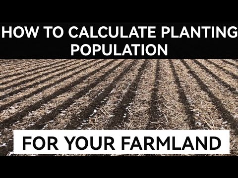 How To Calculate Planting Population For Your Farmland