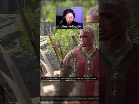 playing baldur's gate 3 multiplayer be like...