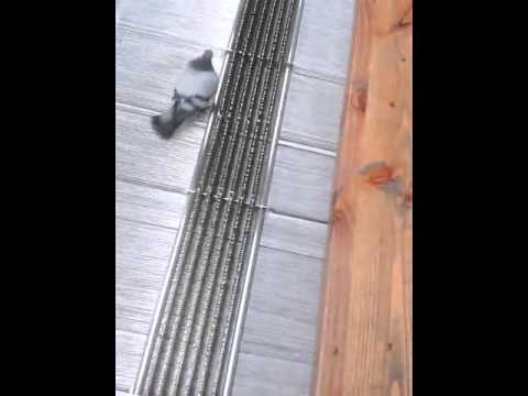 Carpet Weaving - Van Dewielle - Shonner - Carpet Weaving Equipment - CRX -CRT - RCİ - USP - CRP