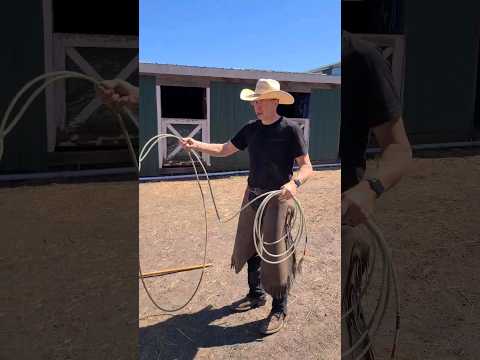 Learning To Rope #shorts #astablelife #horses #roping