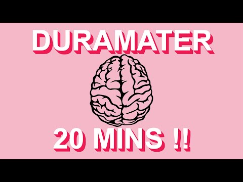 Quick Anatomy of Duramater