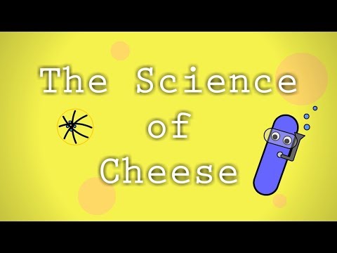 The Science of Cheese