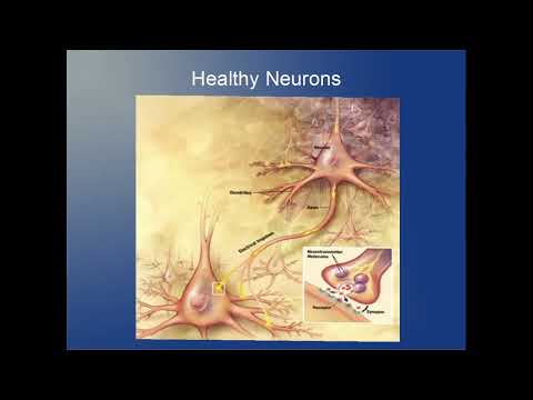 Understanding Different Types of Dementia