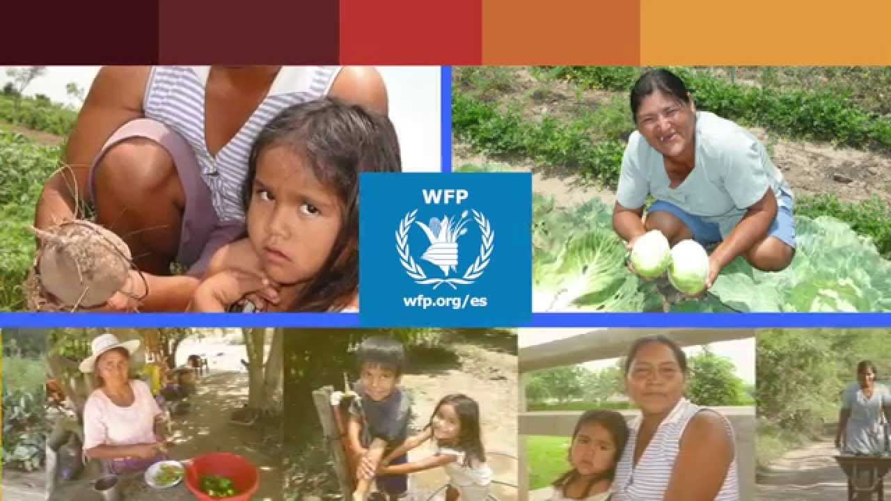 Buenas Prácticas del PMA para alcanzar el Reto de Hambre Cero en América Latina y el Cáribe