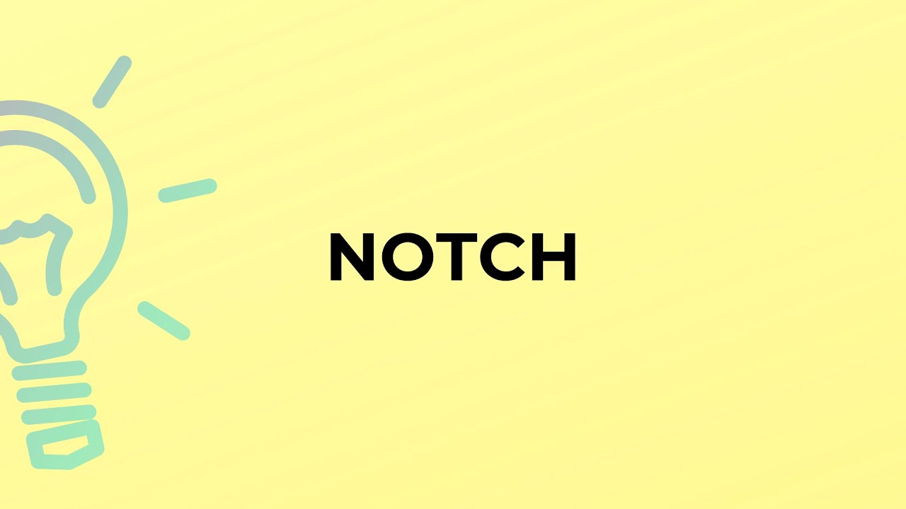 What is the meaning of the word NOTCH?