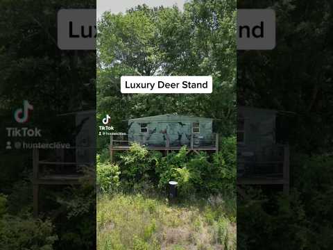 Luxury Deer Stand