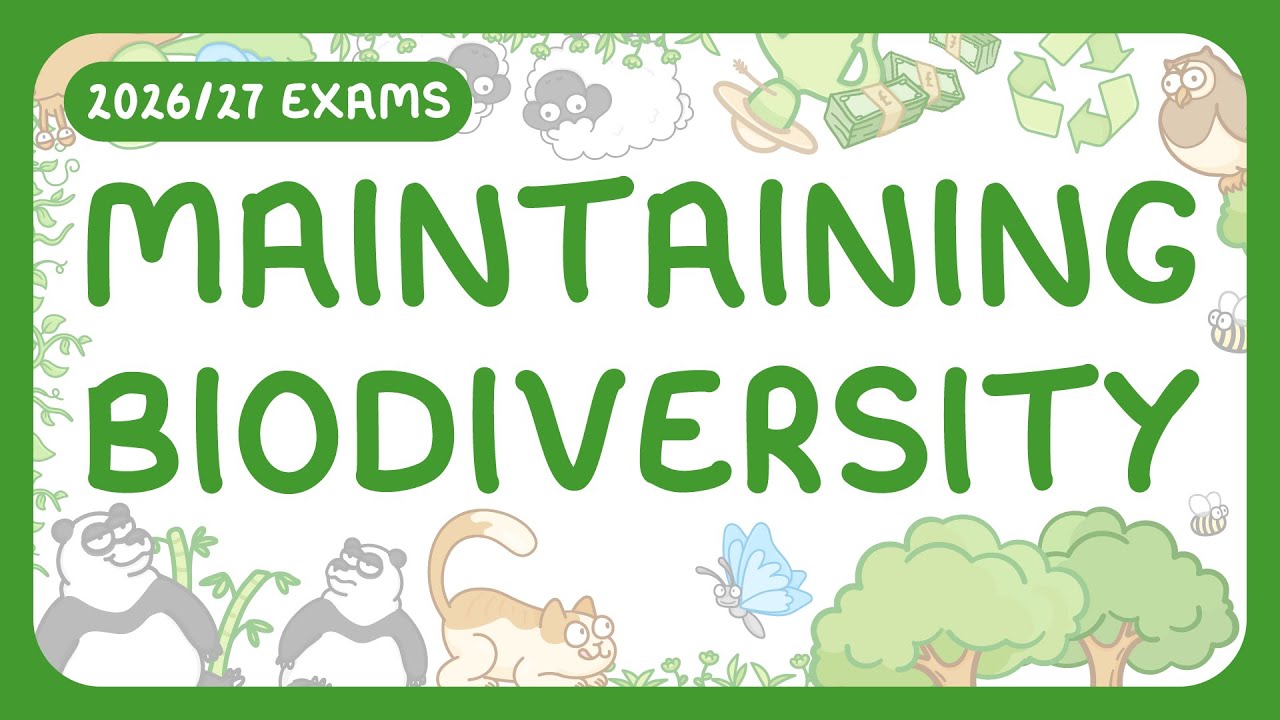 GCSE Biology - Maintaining Biodiversity | Reducing Environment Impact (2026/27 exams)