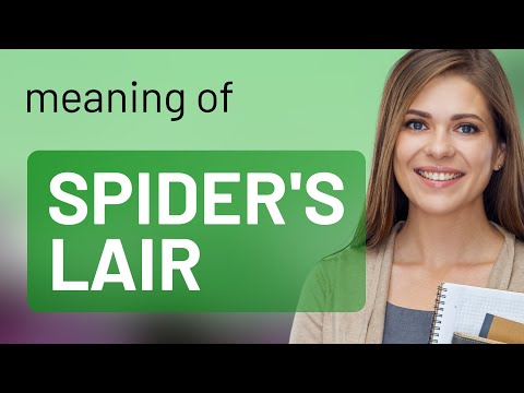 Unraveling the Spider's Lair: A Guide to Understanding English Idioms