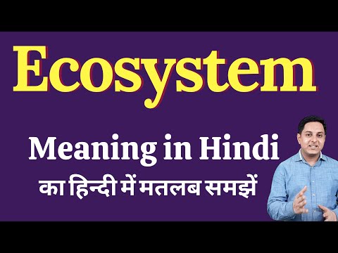 Ecosystem meaning in Hindi | Ecosystem ka kya matlab hota hai | Spoken English Class