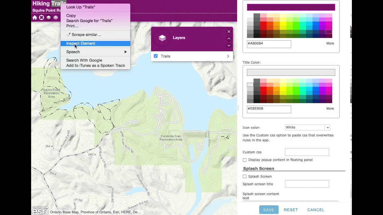 Basic Viewer Custom Css Demo