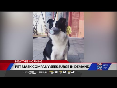 Pet masks in high demand