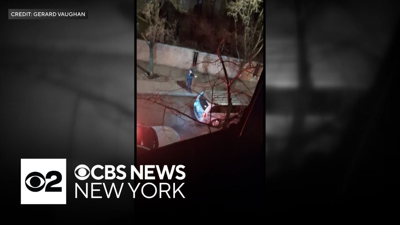 Cellphone video shows chaos as NYPD shoots man in West Village