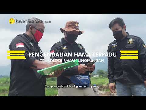 Pengendalian Hama Terpadu