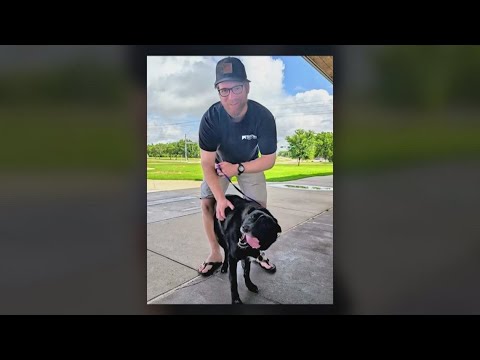 A Vietnam veteran in Texas passed away, then his mailman adopted his dog: Ready Pet GO!