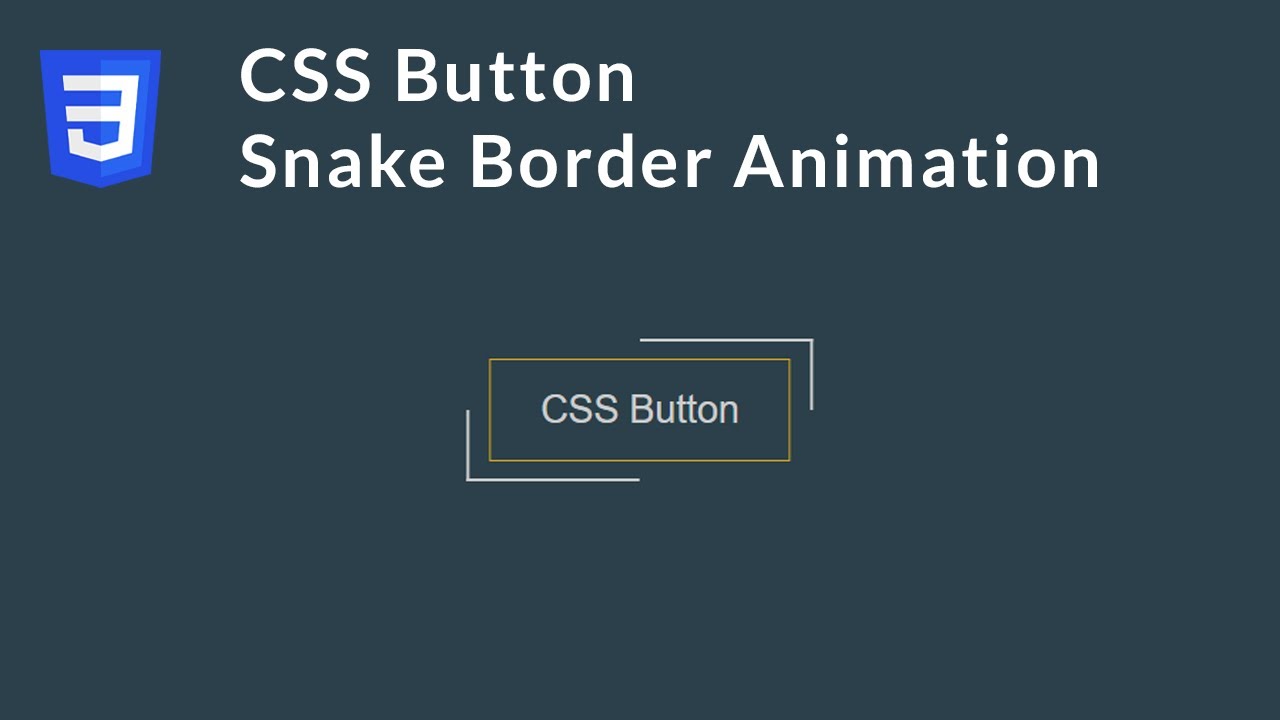 ASMR Programming - Button with Snake Border Animation using CSS