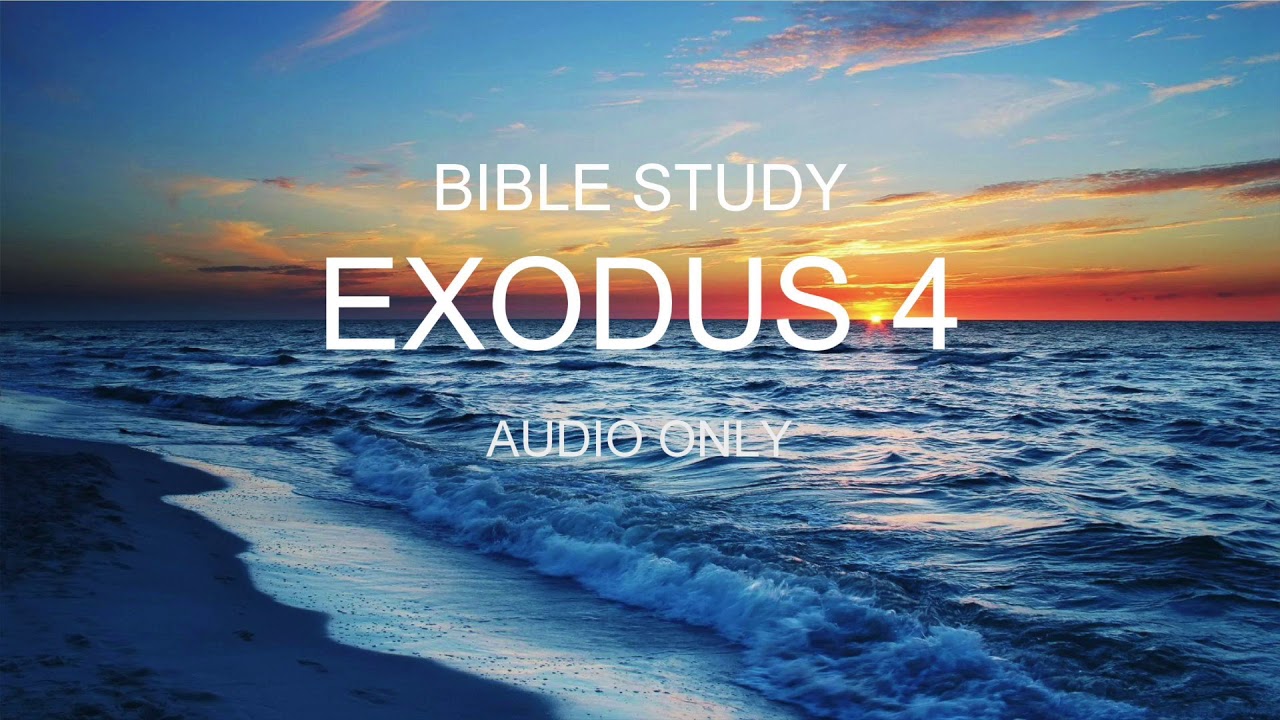 Exodus 4 (Part 2) & 5 Bible Study (Moses Returns to Egypt/Let My People Go) | Pastor Daniel Batarseh