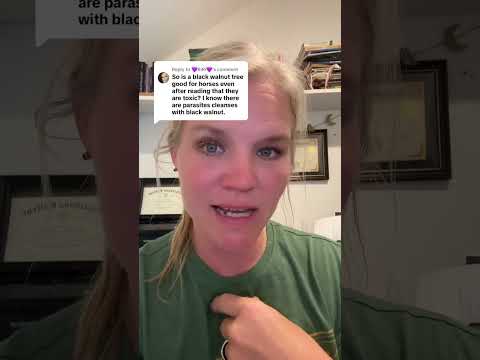 A Clients Question About Black Walnuts