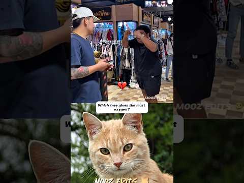 Fight it brother 💀🤣#cat #memes #funny #trending