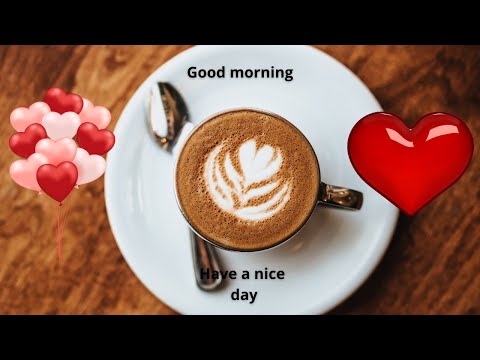 Best Good Morning Wishes and Quotes 💕 ✨ 🌹