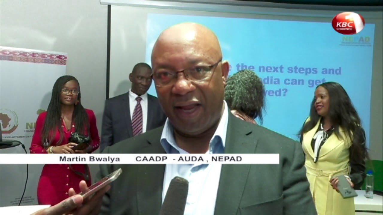 NEPAD rebrands to African Union Development Agency (AUDA-NEPAD)