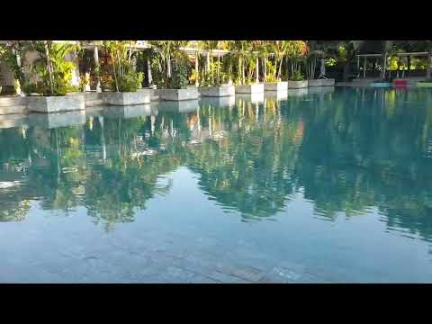 Swimming Pool SHR 2022😍