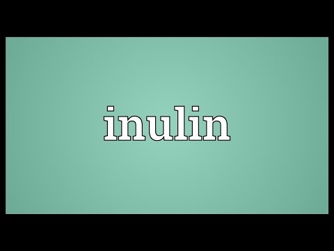 Inulin Meaning