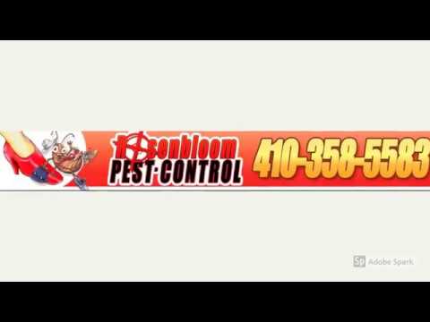 Rosenbloom Pest Control, Inc. | Pest Control Baltimore | Exterminator Services in Baltimore MD