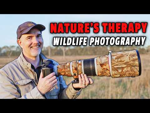 Canon 1D X: Wildlife photography