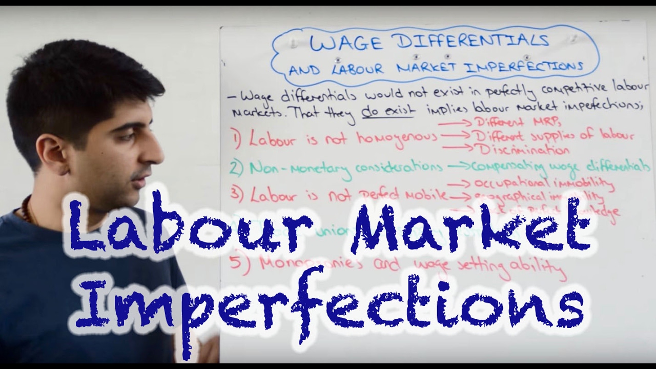 Understanding Wage Differentials and Labor Market Imperfections | Galaxy.ai