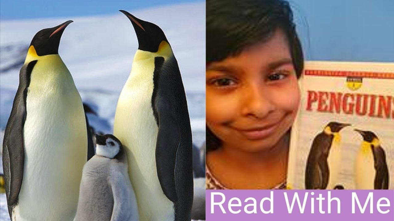 Read with me | PENGUINS | Scholastic Science Readers | early readers | SistersLoves