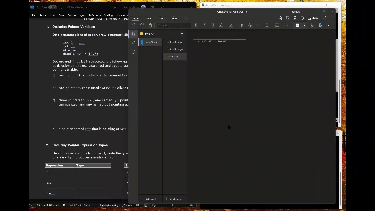 COMP 1633 - Tutorial 5 - Pointers