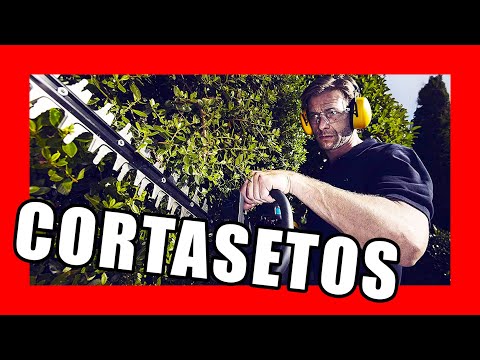 DOMINA EL ARTE DE LA JARDINERÍA CON EL POTENTE CORTASETOS 600w DE GASOLINA MCCULLOCH ERGOLITE 6028