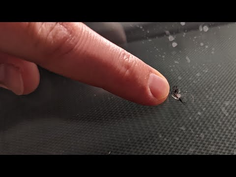 windshield chip: Apparently insurance covers these