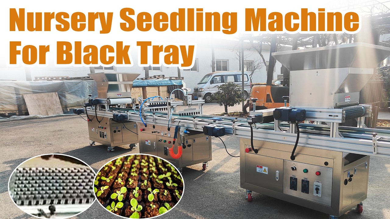 Fully Automatic Nursery Seeding Machine🌱 | Black Tray Test Run | High Efficiency Seedling Production