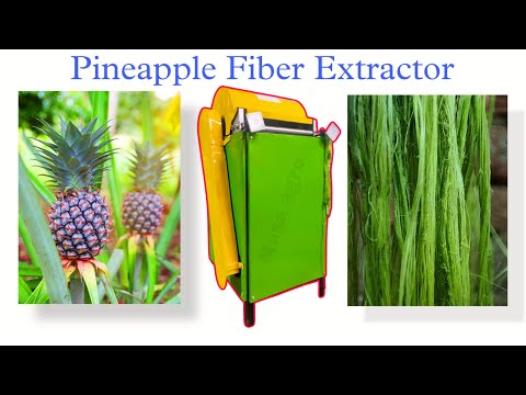 Fibre Extractor at Best Price in India
