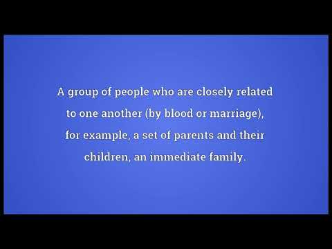 family meaning in English