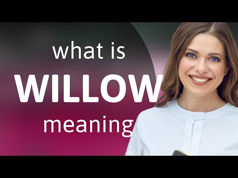 Willow | what is WILLOW definition