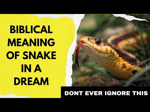 Biblical Meaning of Snakes in Dreams | Dreaming of Snakes Meaning