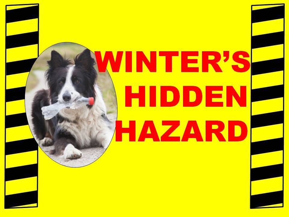 Winter's Hidden Hazard - Cold Weather Health & Safety - Safety Training Video